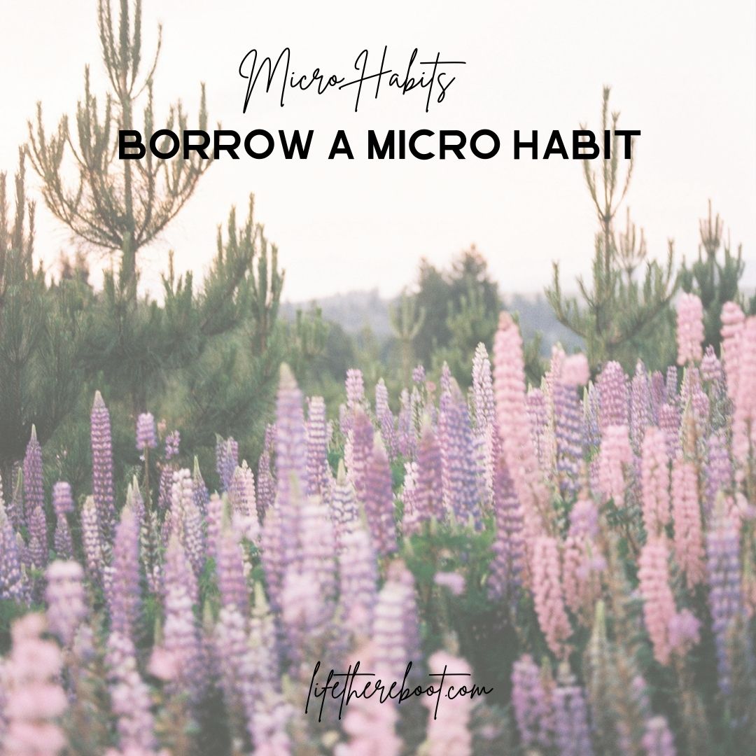 Borrow a Micro Habit - Life: The Reboot